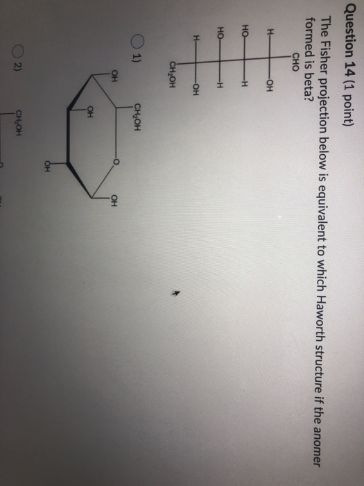 Solved Question 14 (1 point) The Fisher projection below is | Chegg.com