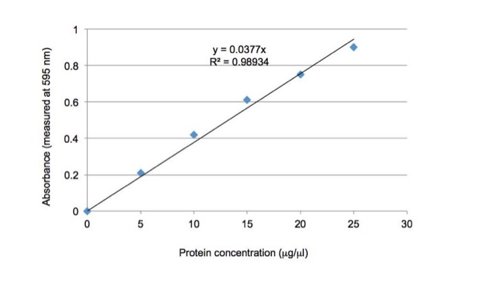 Solved 1 y = 0.0377x R2 = 0.98934 0.8 0.6 Absorbance | Chegg.com