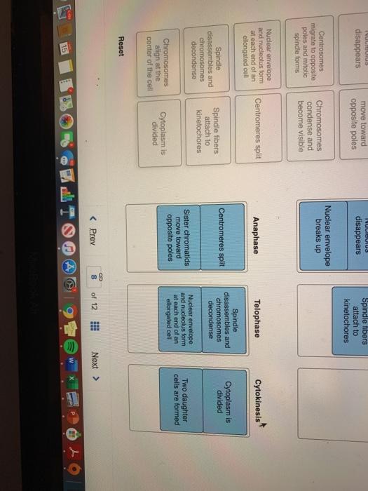 Solved Events of mitosis and cytokinesis. Categorize each | Chegg.com
