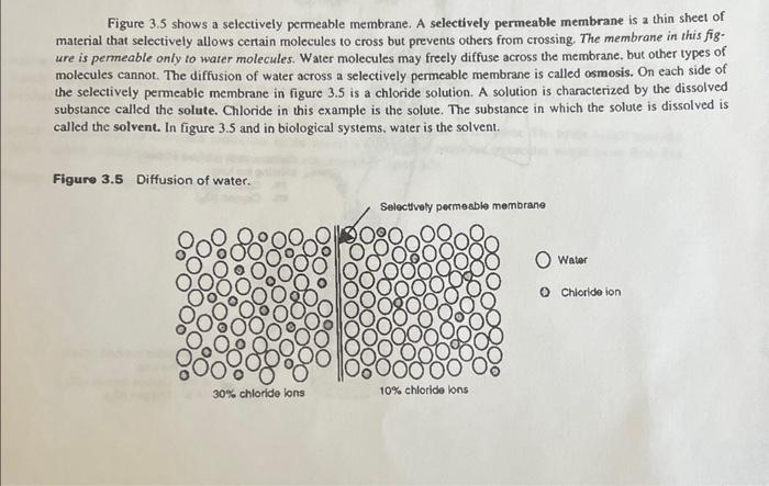 Solved Figure 3.5 shows a selectively permeable membrane. A | Chegg.com