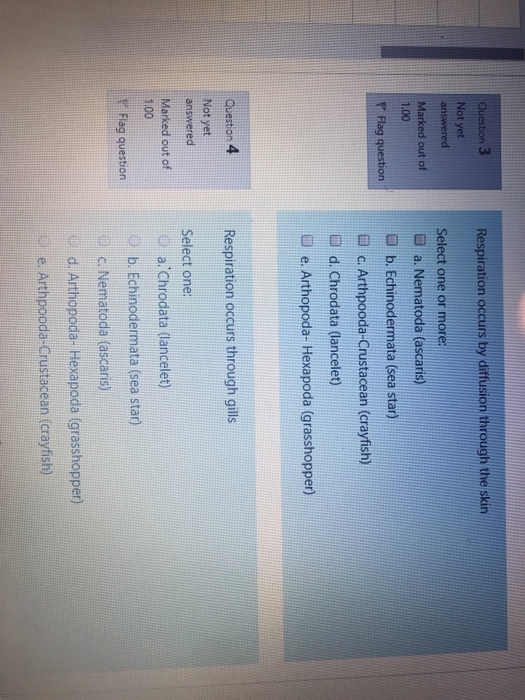 Solved Respiration occurs by diffusion through the skin | Chegg.com