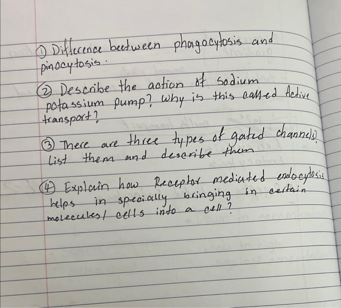 Solved (1) Difference beetween phagocytosis and pinocytosis. | Chegg.com