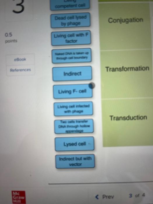 Solved Bacterial Genetics Conjugation Transformation | Chegg.com