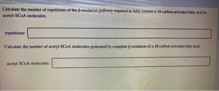 Solved Calculate the number of repetitions of the | Chegg.com