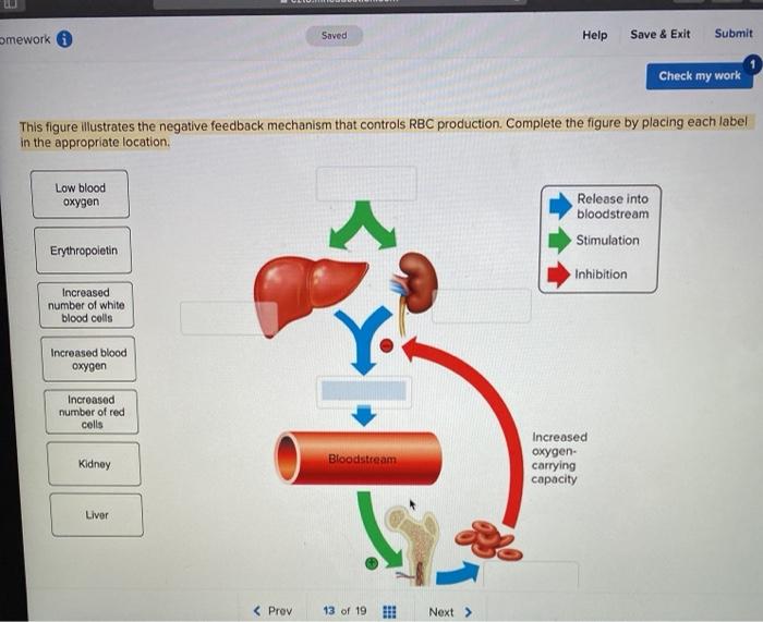 Solved Saved amework Help Submit Save & Exit Check my work | Chegg.com