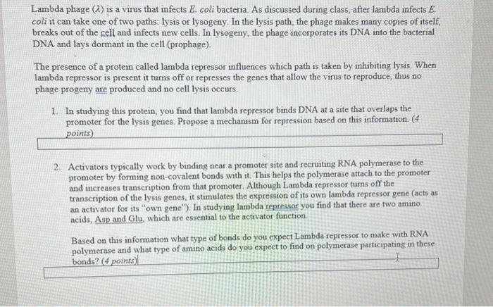 Solved Lambda phage (λ) is a virus that infects E. coli | Chegg.com