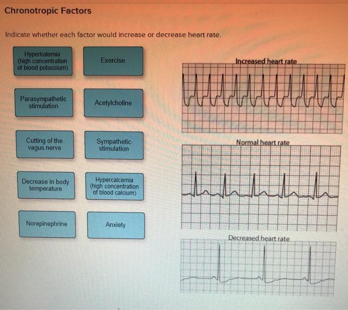 Solved Chronotropic Factors Indicate whether each factor | Chegg.com