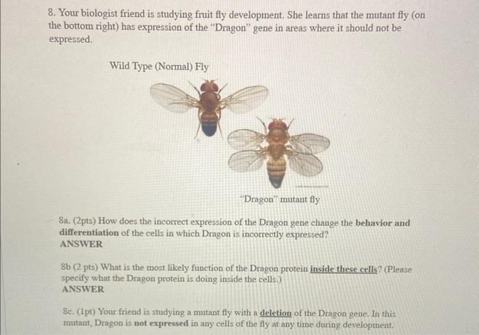 Solved 8. Your biologist friend is studying fruit fly | Chegg.com