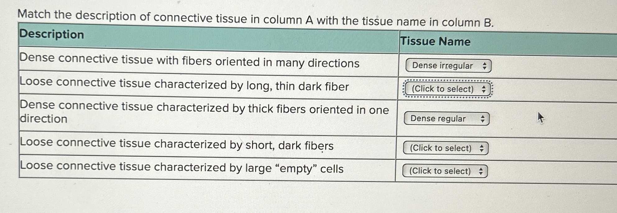 Solved Match the description of connective tissue in column | Chegg.com