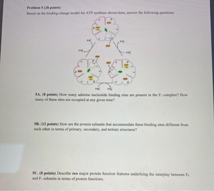 Solved Problem 5 (28 points) Based on the binding-change | Chegg.com