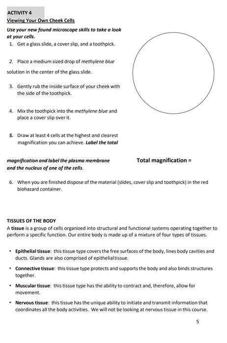 Solved ACTIVITY 4 Viewing Your Own Cheek Cells Use your new | Chegg.com