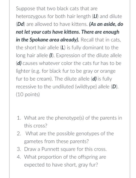 Solved Suppose that two black cats that are heterozygous for | Chegg.com