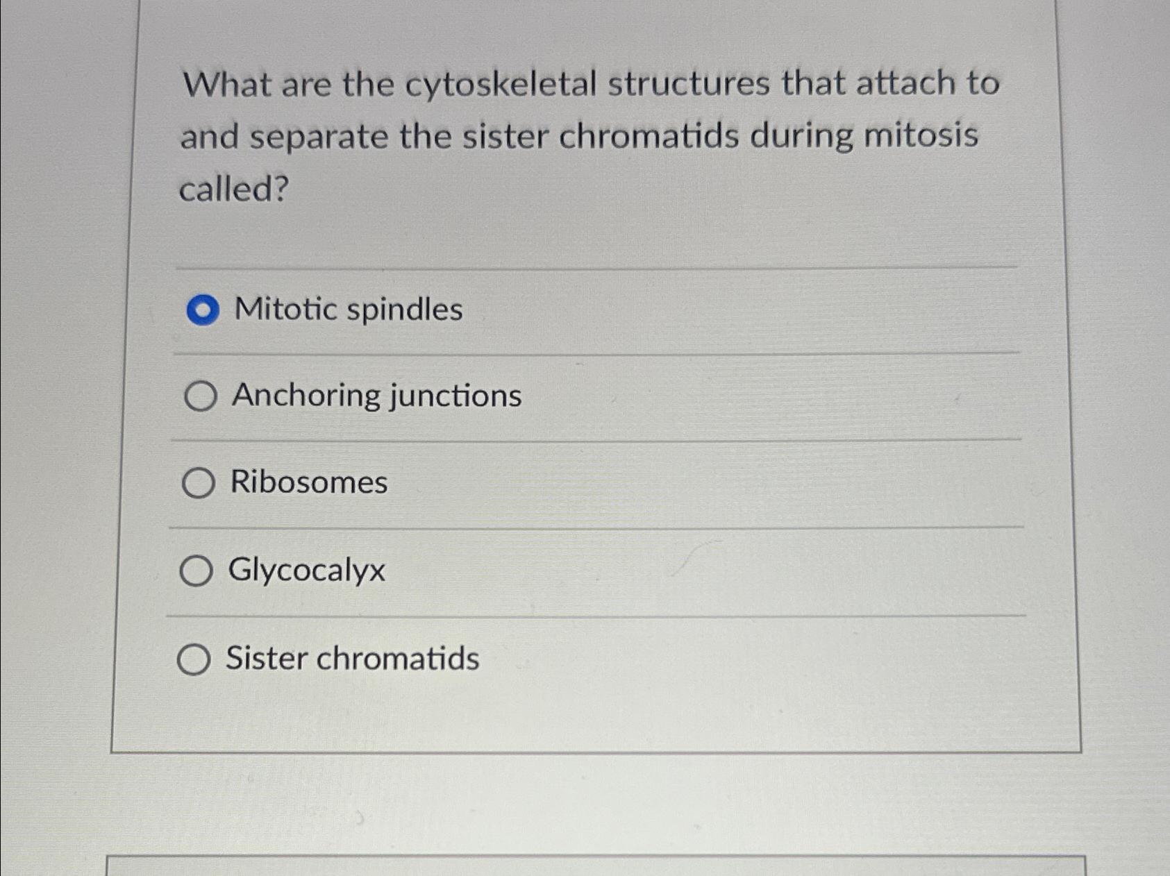 Solved What are the cytoskeletal structures that attach to | Chegg.com