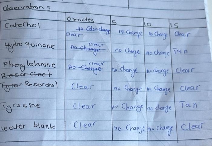 Solved Lab Report: Tyrosinase Name: observations 1. Based | Chegg.com