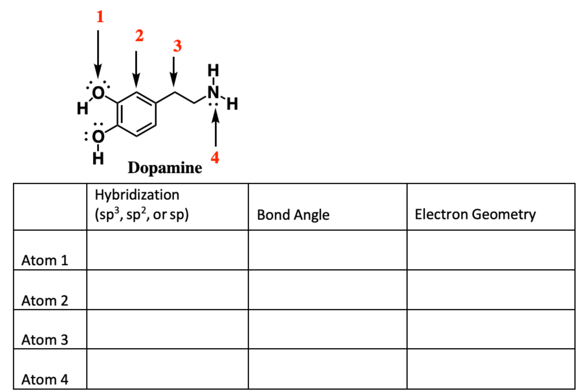 Solved Using the structure of dopamine below complete the | Chegg.com
