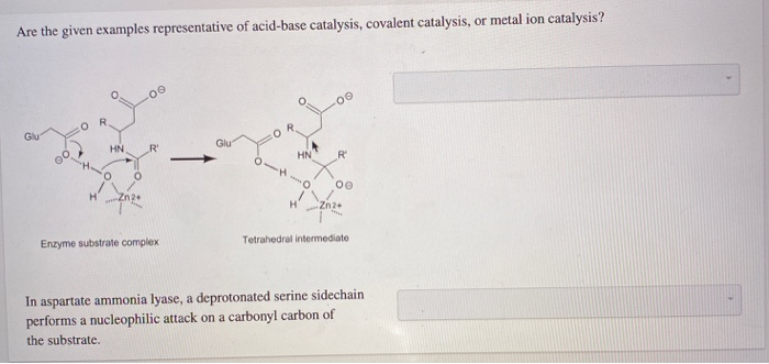 Solved Are the given examples representative of acid-base | Chegg.com