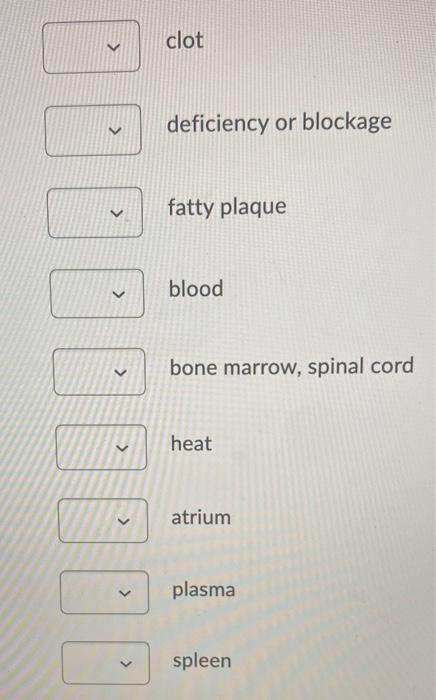 Solved Match the root / combining forms to their meaning | Chegg.com