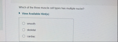 Solved Which of the three muscle cell types has multple | Chegg.com