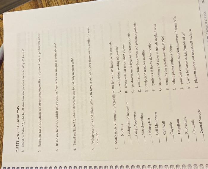 Solved PROCEDURE Using information provided in this | Chegg.com