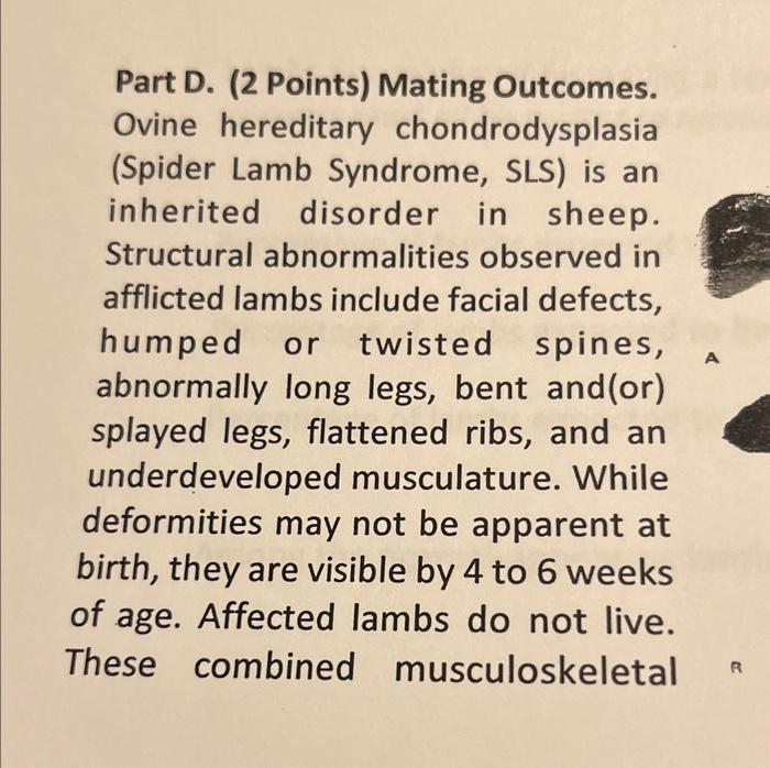 Solved Part D. (2 Points) Mating Outcomes. Ovine hereditary | Chegg.com