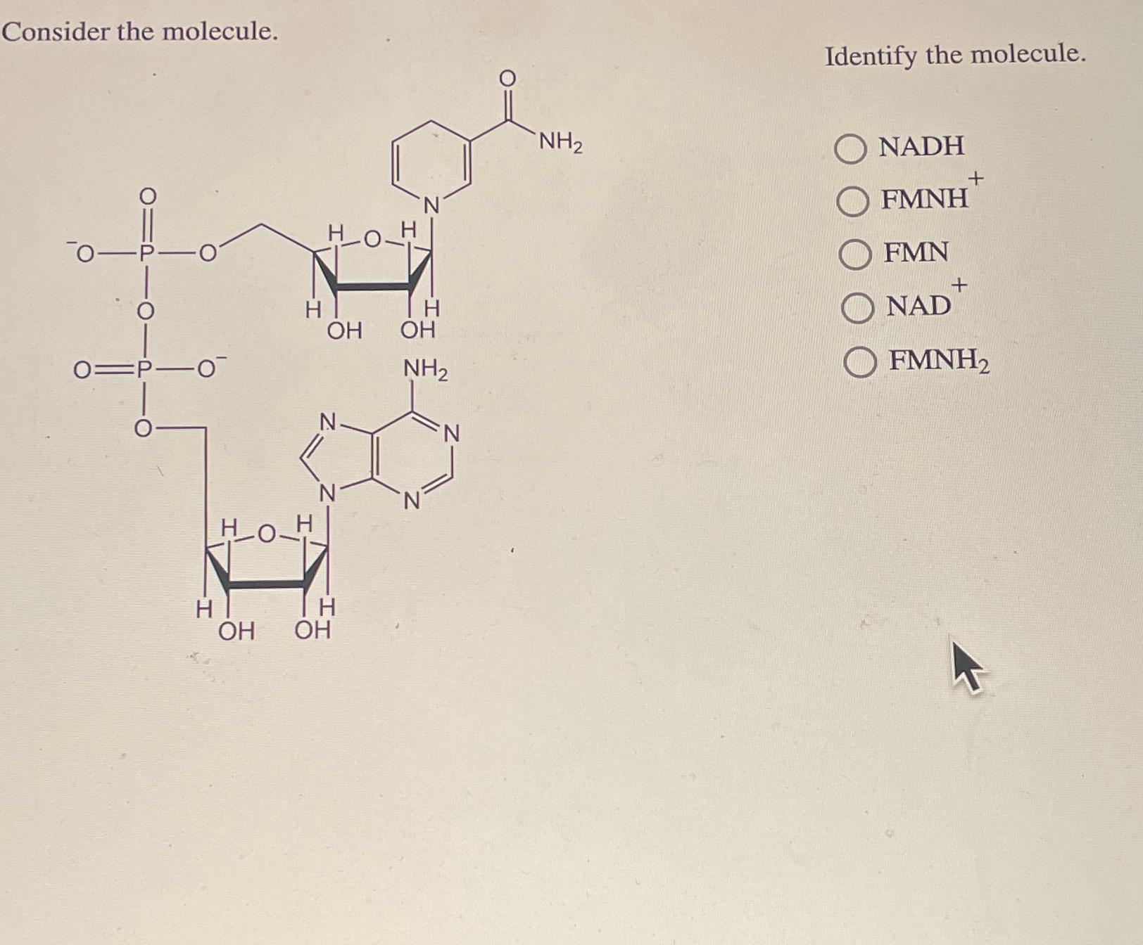 Solved Consider the molecule.Identify the | Chegg.com