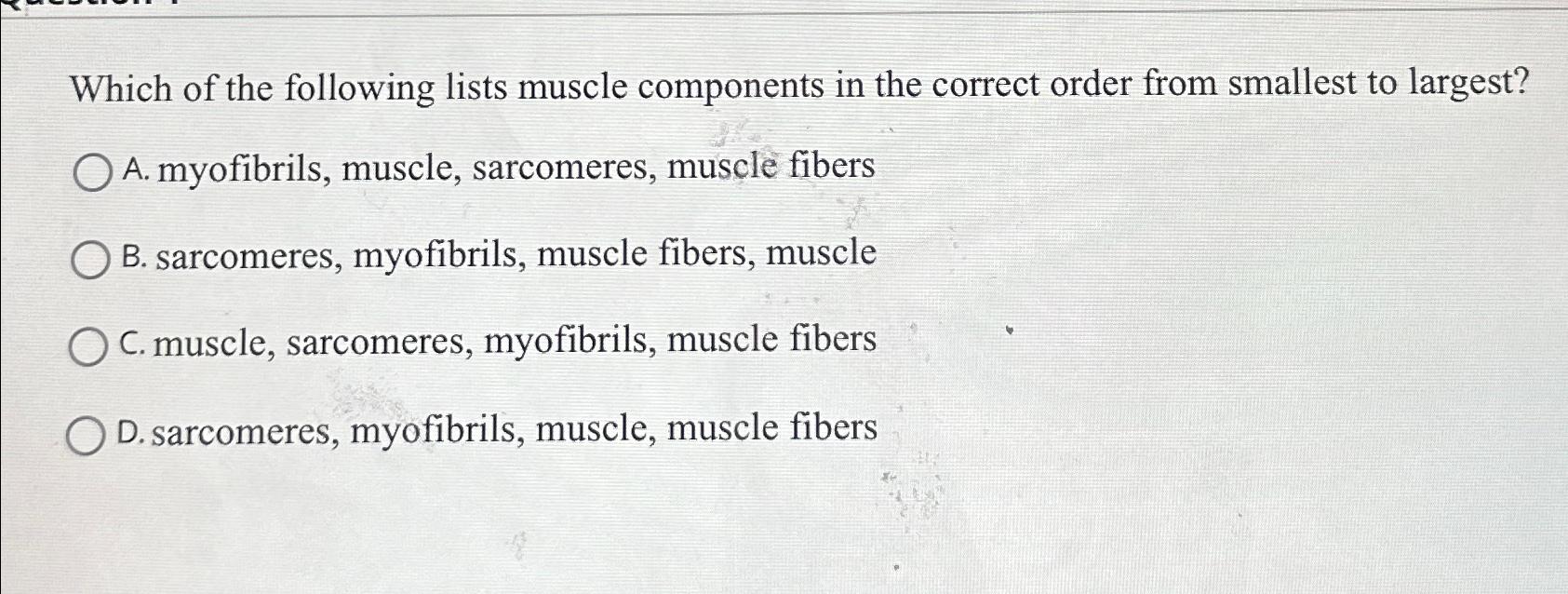 Solved Which of the following lists muscle components in the | Chegg.com