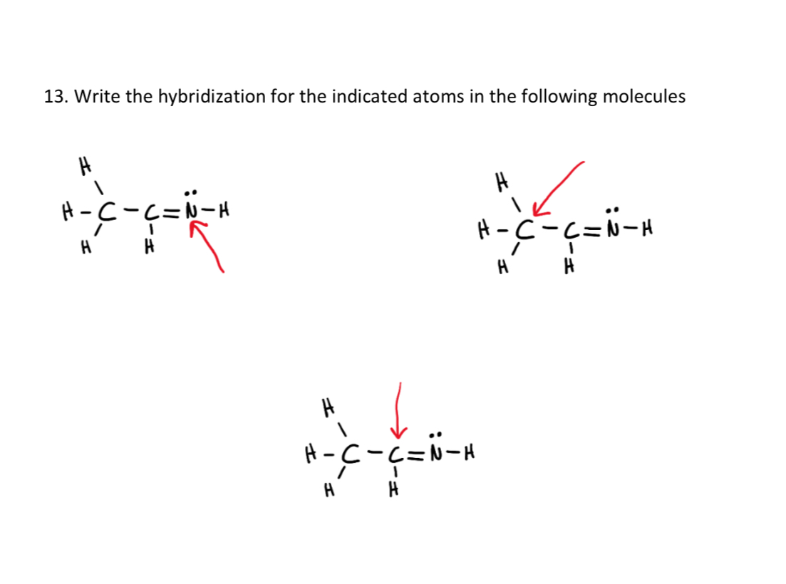 Solved Write the hybridization for the indicated atoms in | Chegg.com
