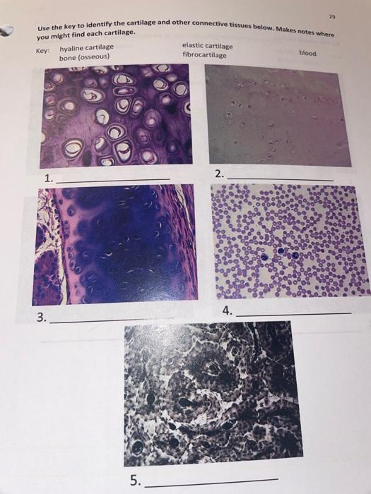 Solved Please fill in the blanks | Chegg.com