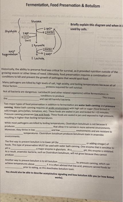 Solved Fermentation, Food Preservation \& Botulism Briefly | Chegg.com