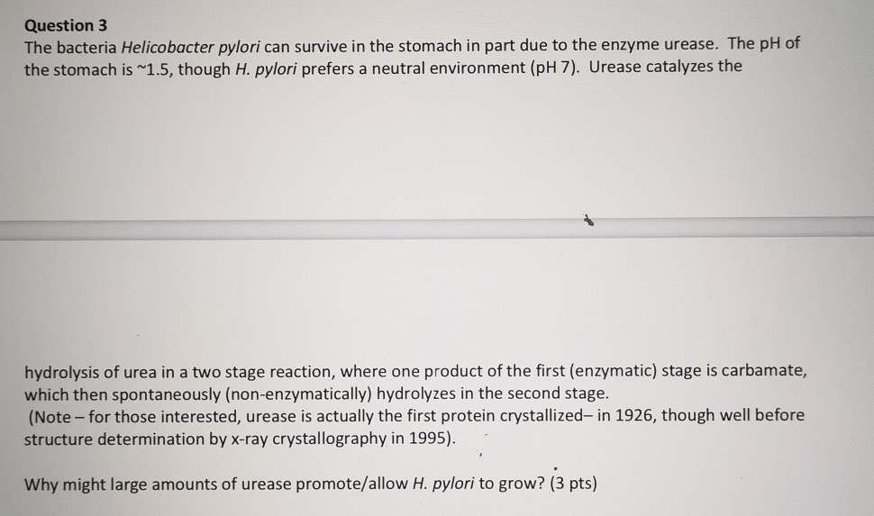 Solved Question 3 The bacteria Helicobacter pylori can | Chegg.com