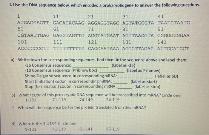 BIO 340 Activity #7: Transcription and translation | Chegg.com