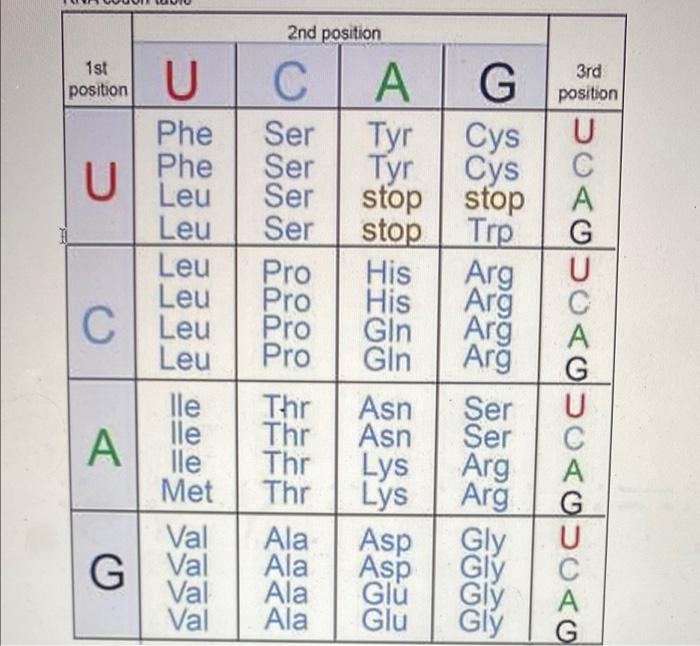 3. Using the universal genetic code table individual | Chegg.com