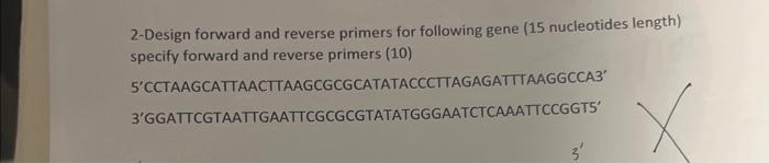 Solved 2-Design forward and reverse primers for following | Chegg.com