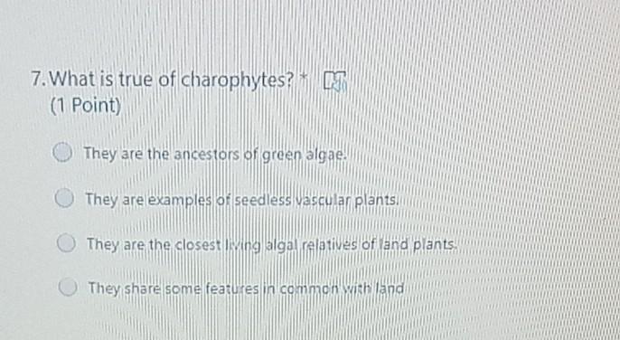 Solved 7. What is true of charophytes? (1 Point) They are | Chegg.com