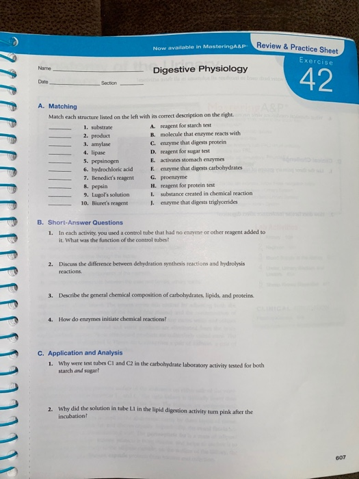 Solved Now available in MasteringA&P Review & Practice Sh. | Chegg.com