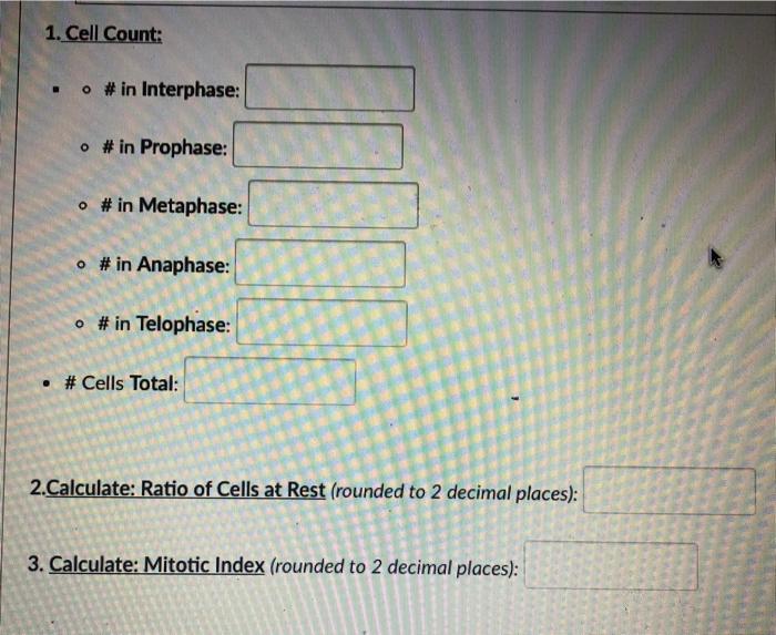 Solved Count the number of cells in each phase of the cell | Chegg.com