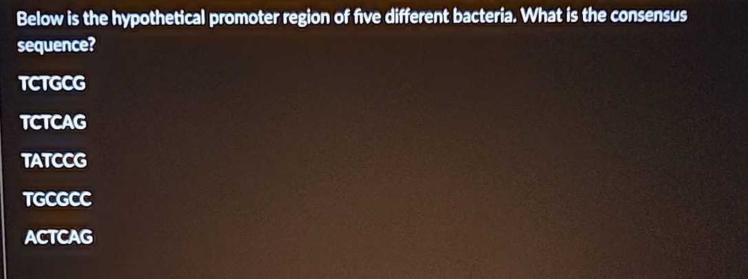 Solved Below is the hypothetical promoter region of five | Chegg.com