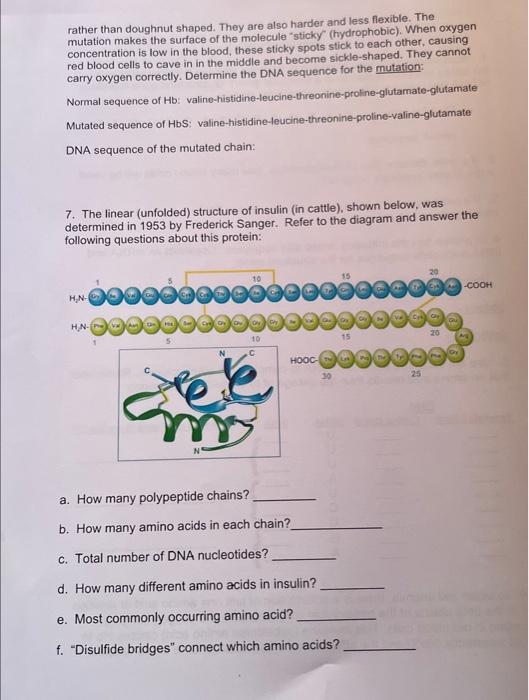 Solved 1. What will the sequence of mRNA nucleotides be if | Chegg.com
