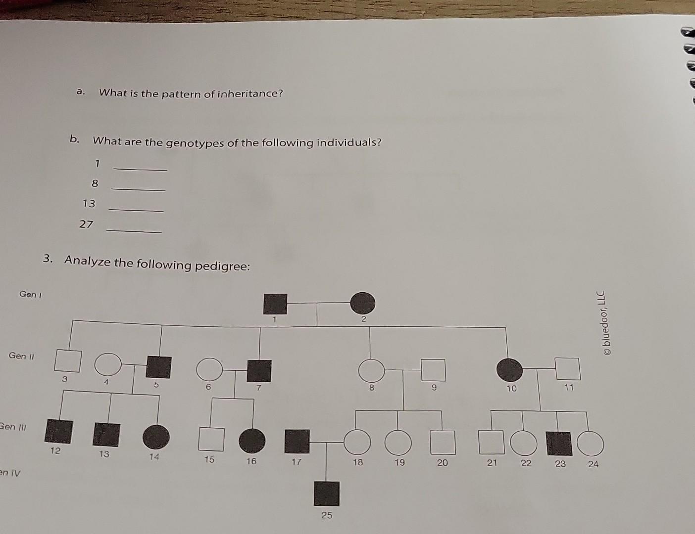 Solved Analyze the following pedigree: Laboratory 11 | Human | Chegg.com