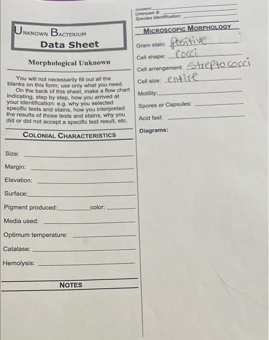 Solved அயனாட Unknown Species Identification UNKNOWN | Chegg.com