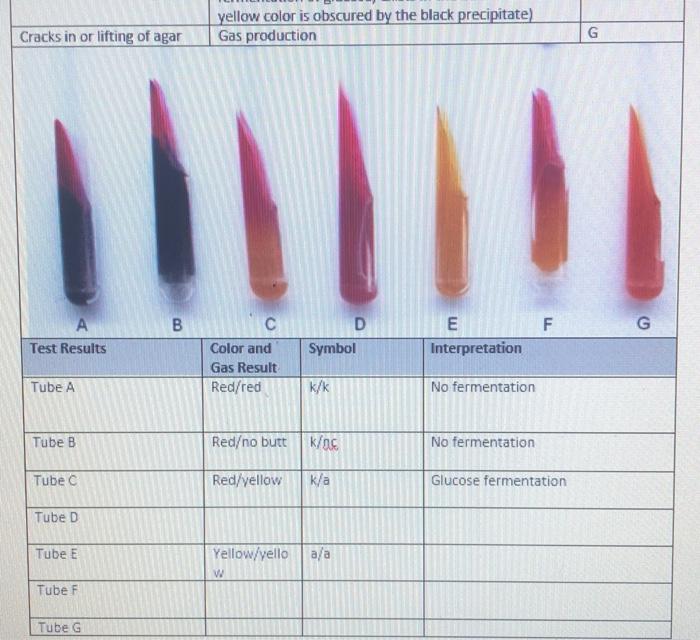 Solved Result Yellow slant/yellow butt- KIA Yellow | Chegg.com