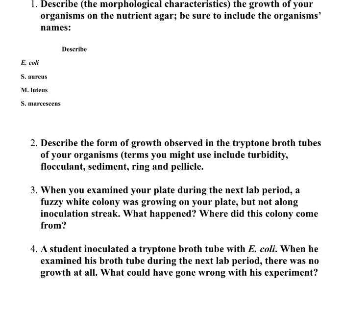 Solved 1. Describe (the morphological characteristics) the | Chegg.com