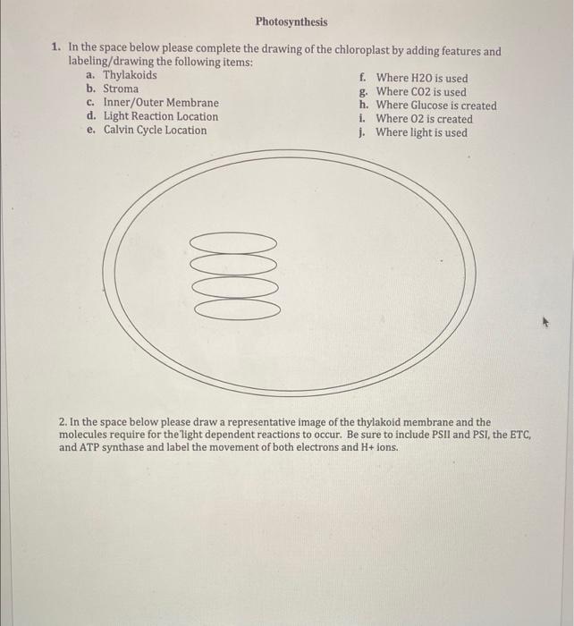 [Solved]: 1. In the space below please complete the drawing