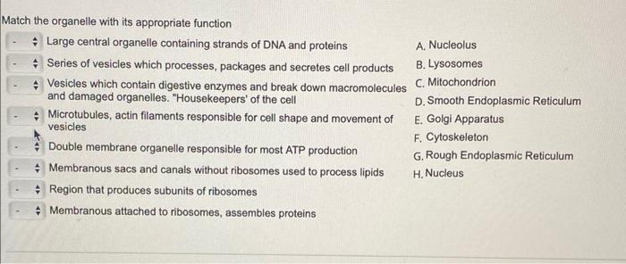 Solved Match the organelle with its appropriate function | Chegg.com