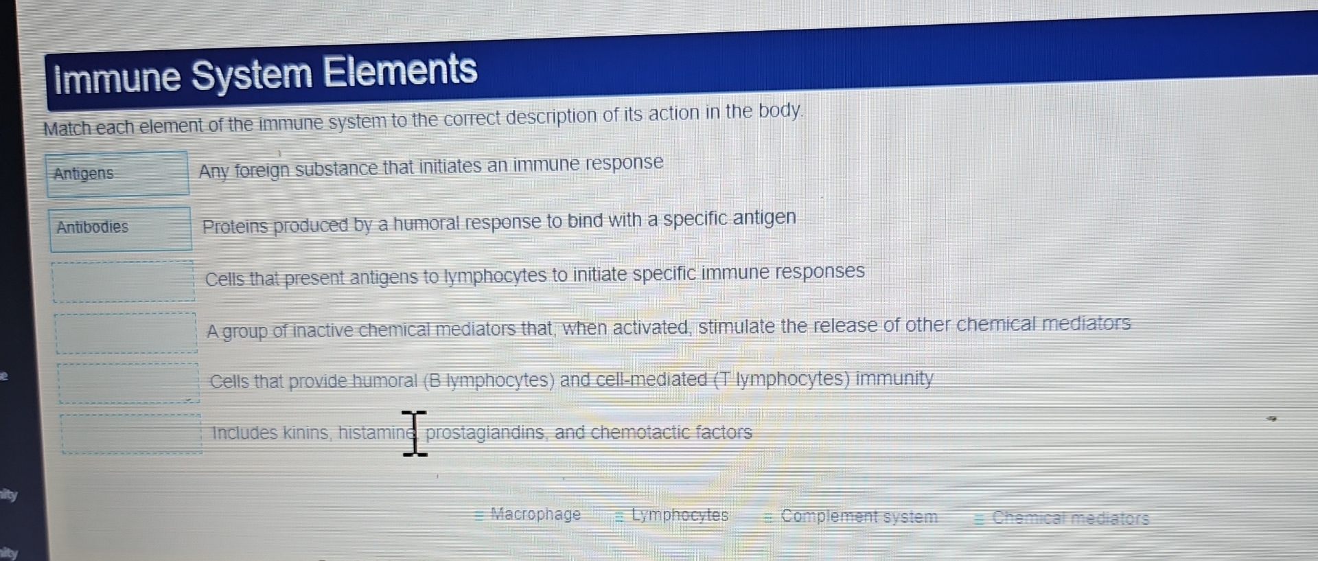Solved Immune System ElementsMatch each element of the | Chegg.com
