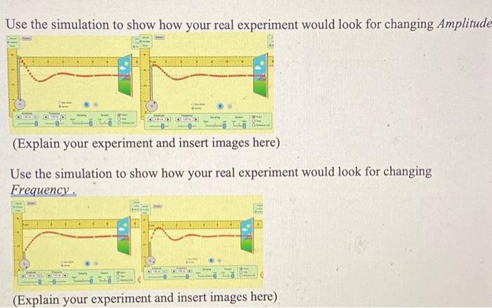 Solved Use the simulation to show how your real experiment | Chegg.com