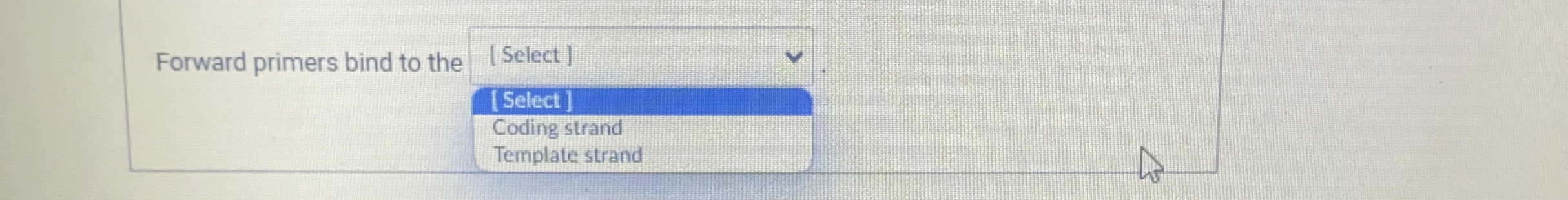 Solved Forward primers bind to the | Chegg.com