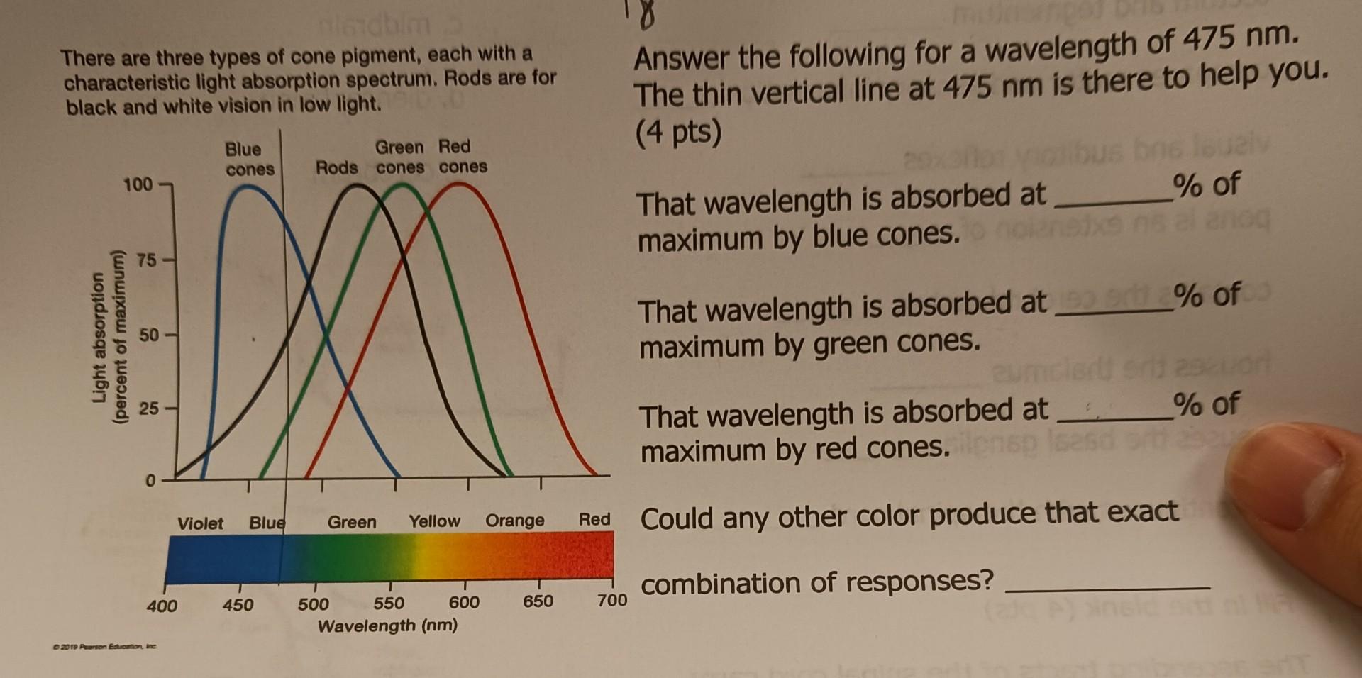 Solved There are three types of cone pigment, each with a | Chegg.com