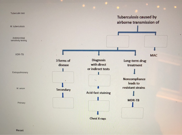 Solved - Tuberculin test Tuberculosis caused by airborne | Chegg.com