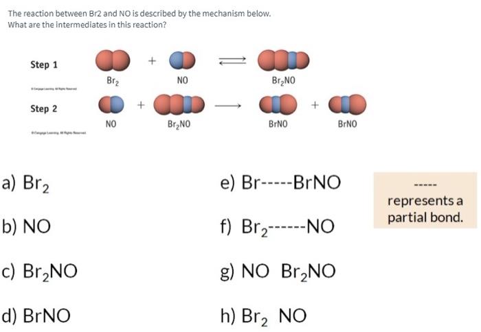 Solved The reaction between Br2 and NO is described by the | Chegg.com